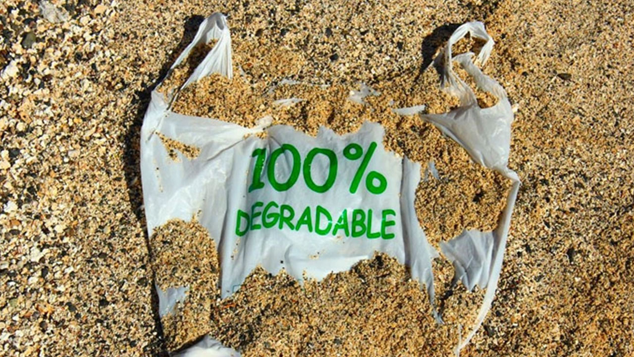 Plastik Biodegradable sebagai Solusi Ramah Lingkungan – ARQUIDIOCESISDGO